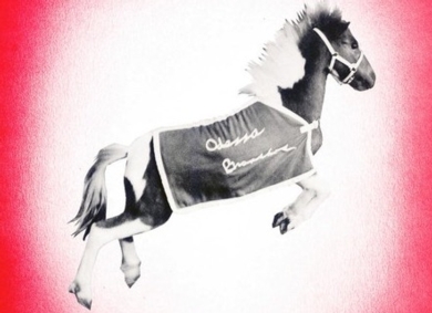 ODESSA HIGH SCHOOL, Odessa, TX CLASSES OF 1958 & 1959, Odessa, TX